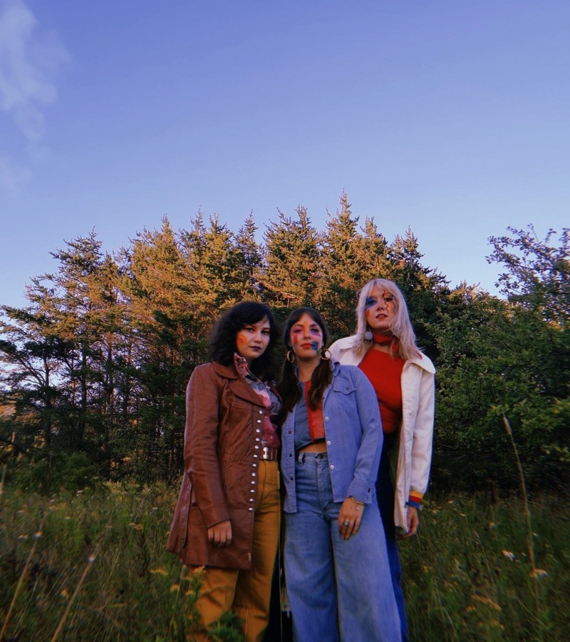 Les Hay Babies | ROSEQ